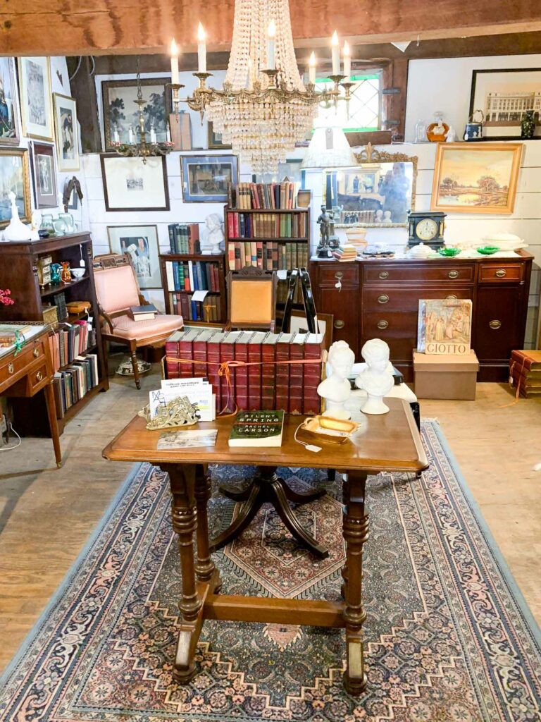 HOW TO SHOP YOUR LOCAL THRIFT STORES | 10 THINGS I LEARNED FROM ...