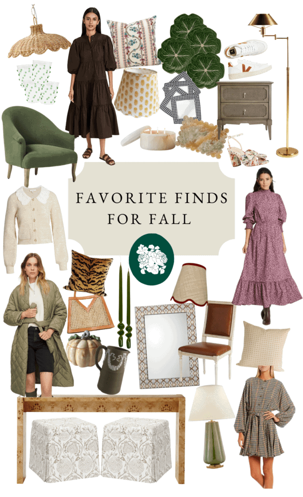 FAVORITE FINDS FOR FALL - A Glass of Bovino